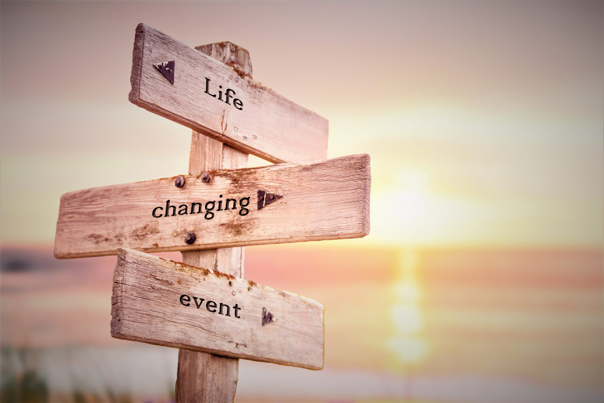 WE Institute | Wellness, Personal Coaching and Training Centre | Crows ...